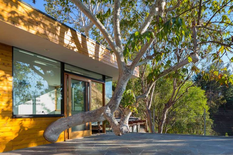 LA Mid-Century Modern Home With Trees Growing Through It