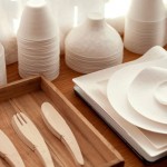 Wasara: Elegant Single Use Tableware - Table Setting & Serving