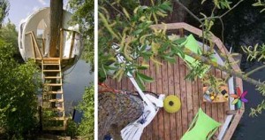 BubbleTree House - Treehouse Design
